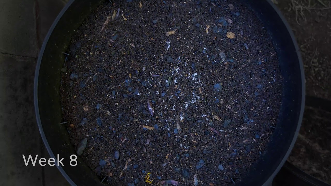 PA Packaging Solutions Compostable Time lapse
