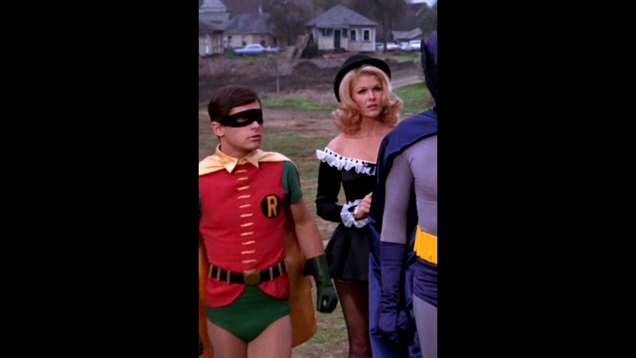 robin in peril caution