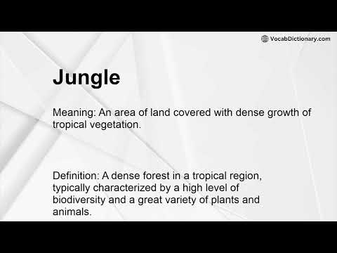 Jungle Meaning