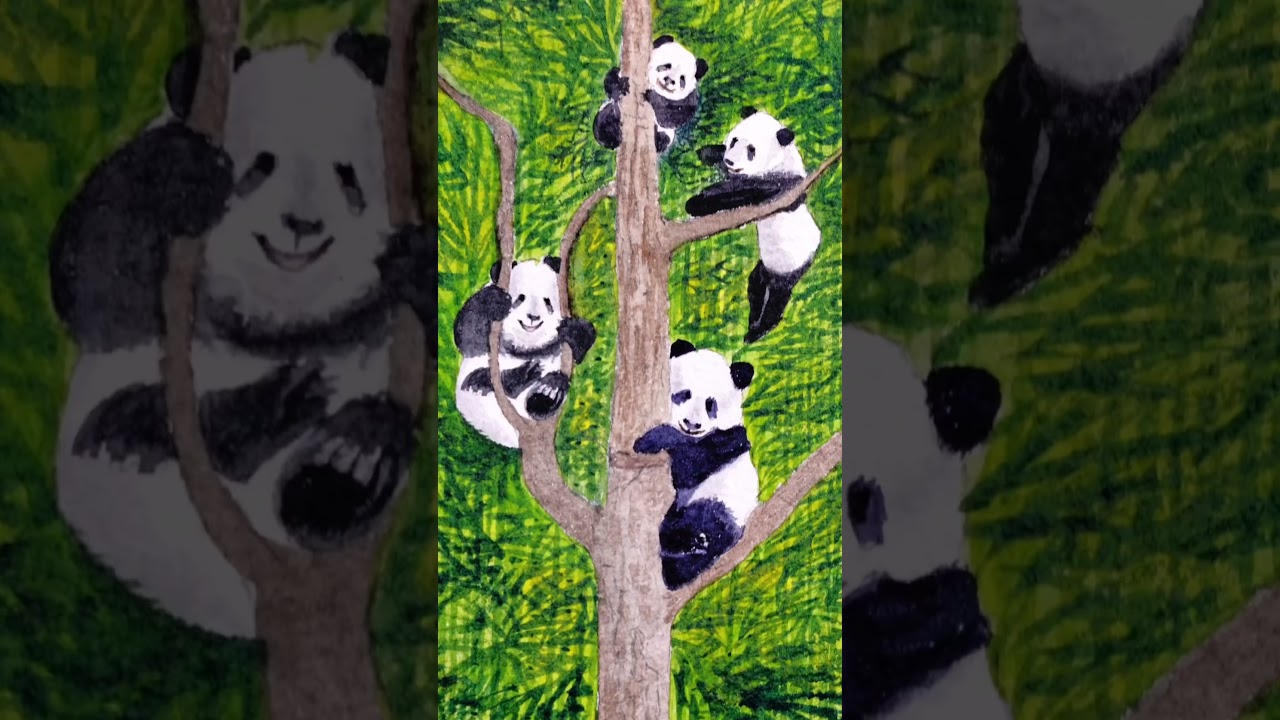 Panda Watercolor Reveal #shorts #panda #watercolor