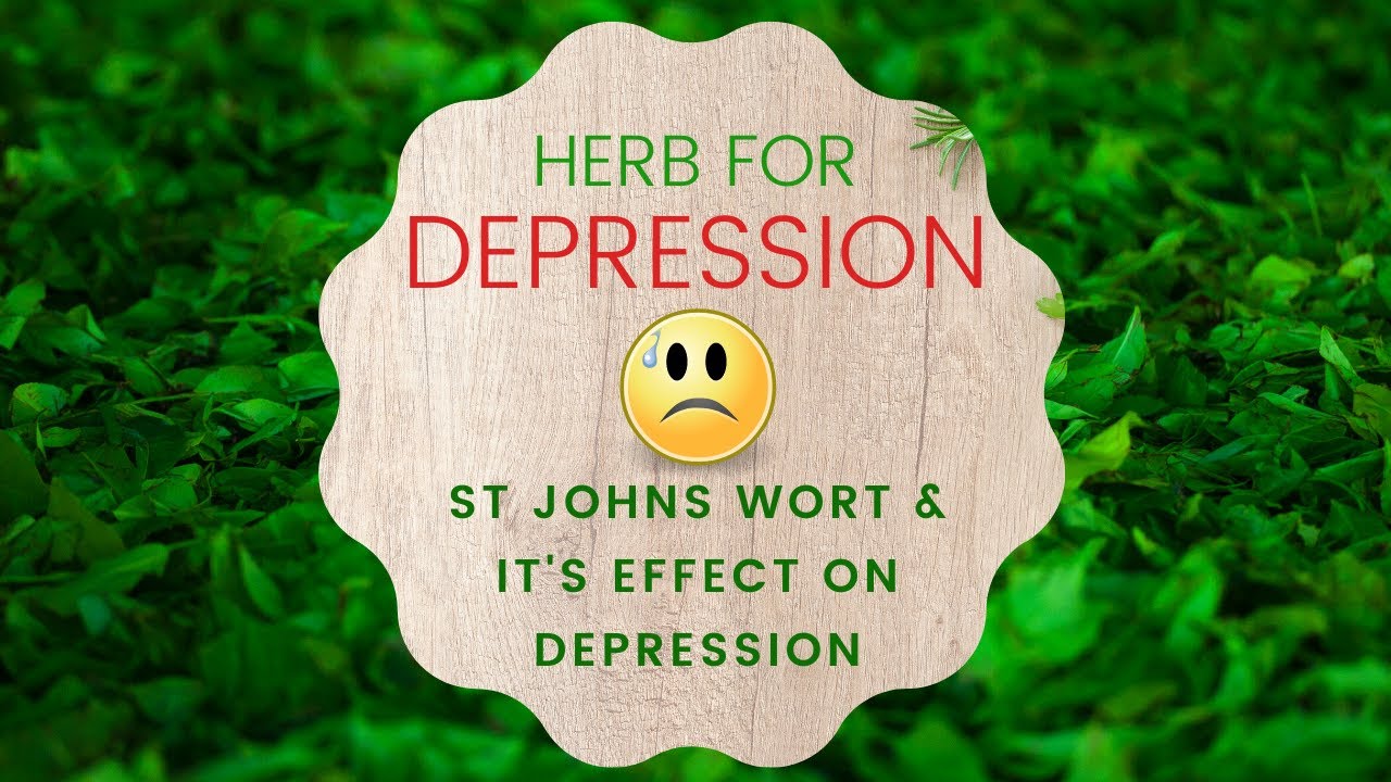 Natural Treatment For DEPRESSION || St Johns Wort & It's Effect On Depression - NCCIH