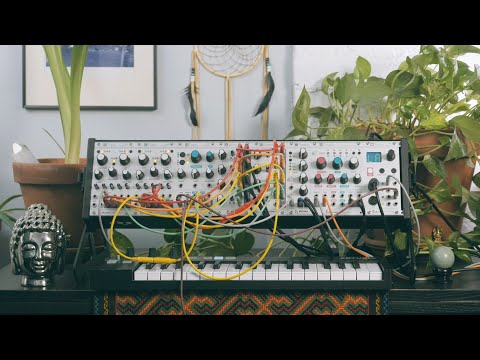 Mutable Instruments Tides iMuso
