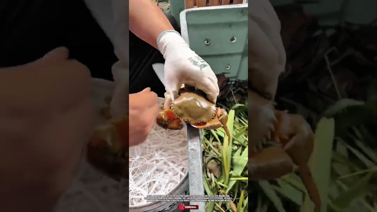 Simple Tool Crab Tie for Securing Fresh Seafood Quickly #ToolHolder