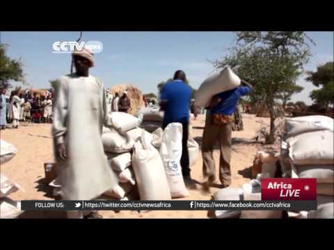 5.6 million people risk starvation in areas affected by Boko Haram insurgency