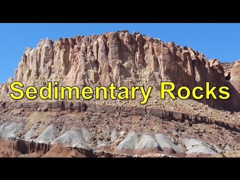 Sedimentary Rocks | GeoScience Videos