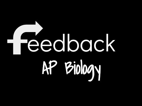 Feedback Loops - AP Biology