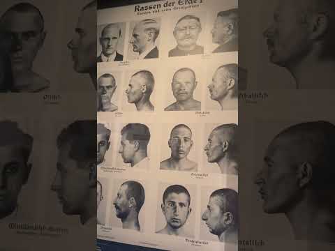 Holocaust Museum. Two race groups in Hitler Germany.