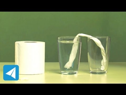 Tissue roll demonstrates capillary action | Surface Tension | Physics