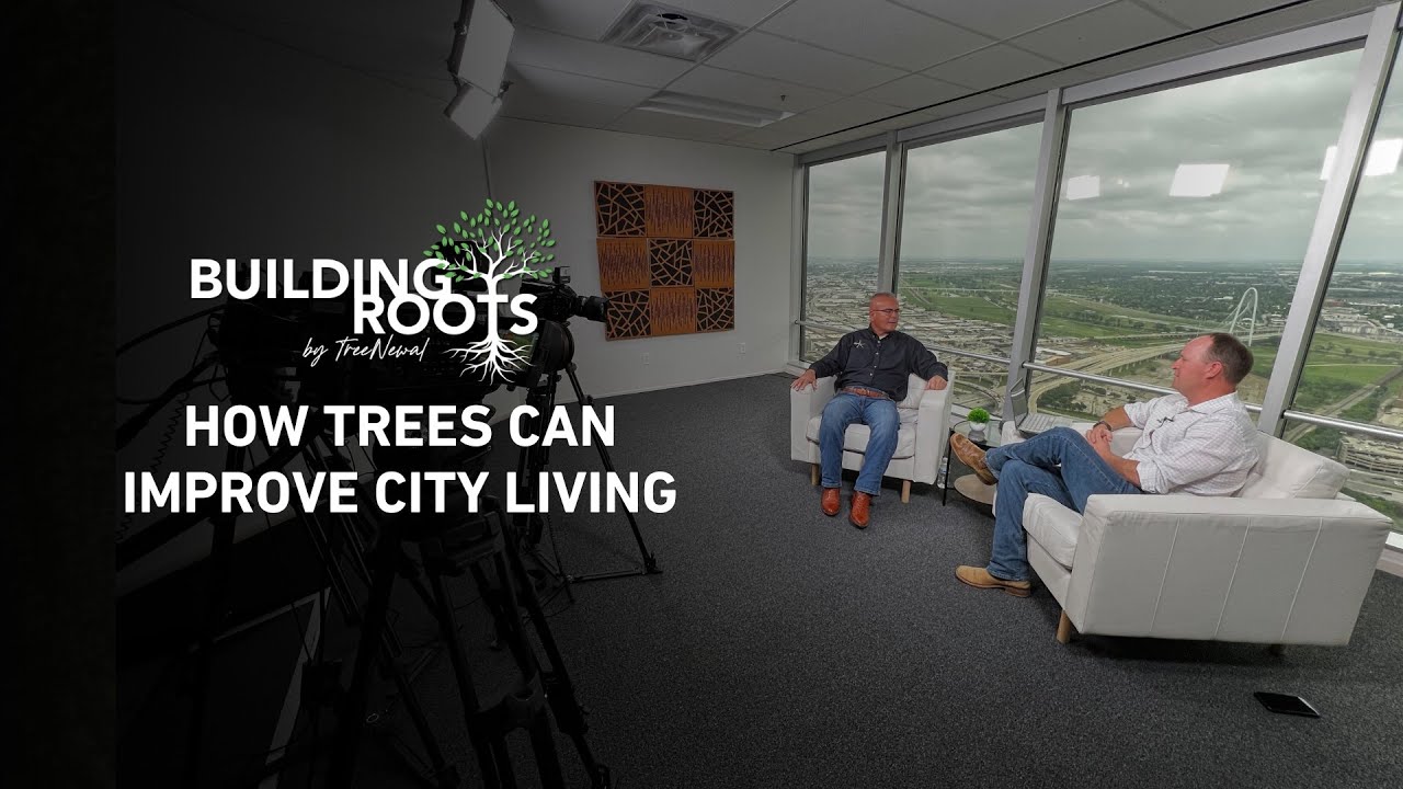 How Trees Can Improve City Living