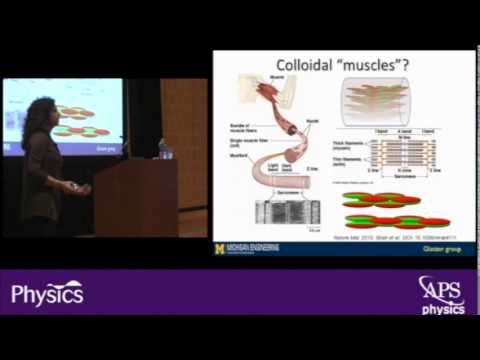 Rise of the Colloidal Machines