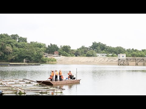 What is animal welfare within aquaculture?