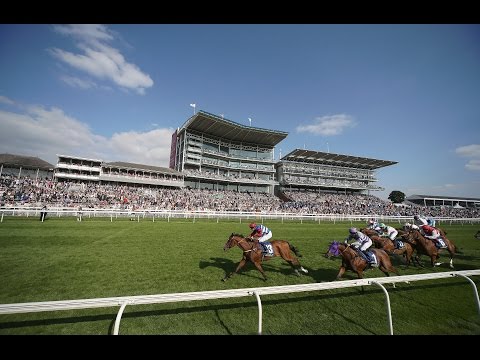 Races In Focus: Friday at York