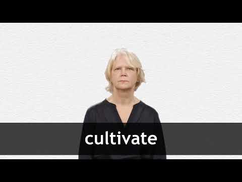 CULTIVATE definition and meaning | Collins English Dictionary