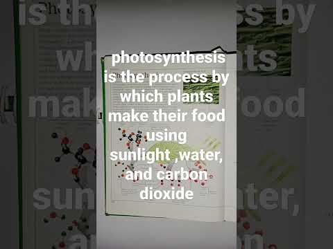 what is photosynthesis, define photosynthesis, definition of photosynthesis