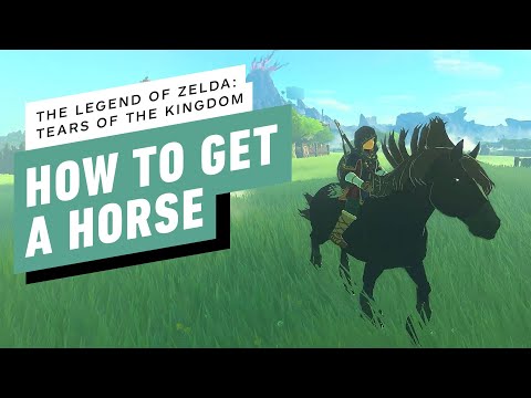 The Legend of Zelda: Tears of the Kingdom - How to Tame and Register a Horse