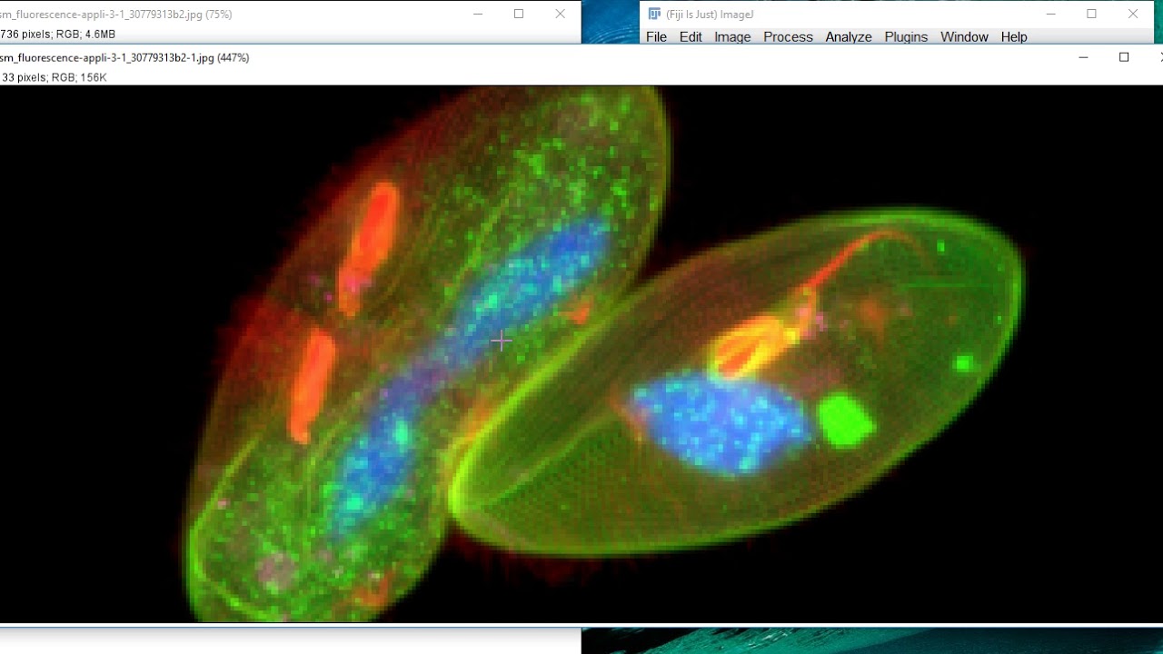 Image Processing Presentation