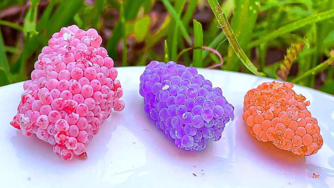 ASMR Crushed snail eggs | Apple snail Eggs 1 HOUR ASMR Relaxing, Hungry And Deep Sleep🐌