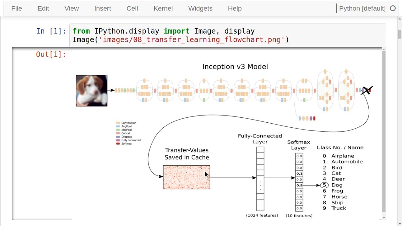 TensorFlow Tutorial #08 Transfer Learning