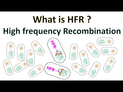 HFR | High Frequency Recombination