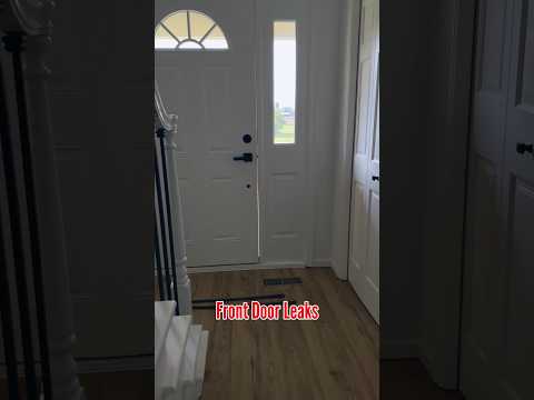 Front Door Leaks