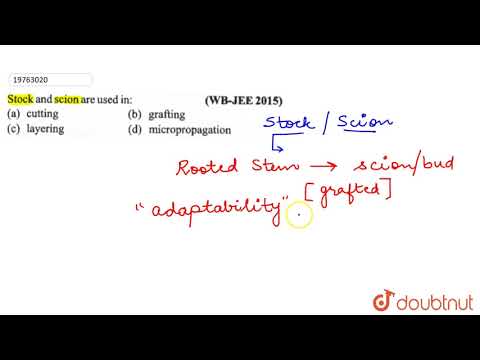 Stock and scion are used in :