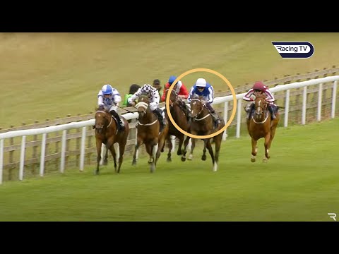 Exciting filly travels all over rivals on debut | Racing TV
