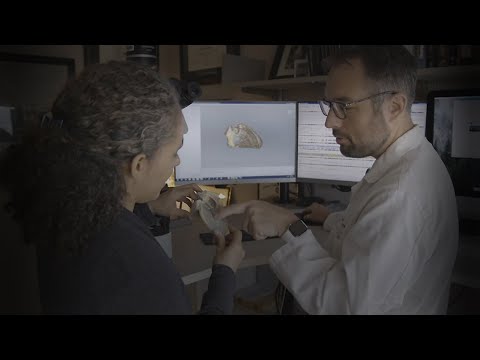 3D Scanning: An Important Innovation in Pathology