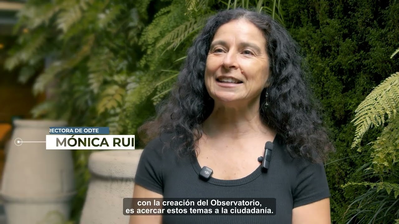 Lanzamiento Observatorio de la Transición Energética