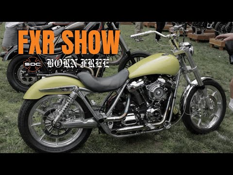 FXR Show x San Diego Customs Born Free 16
