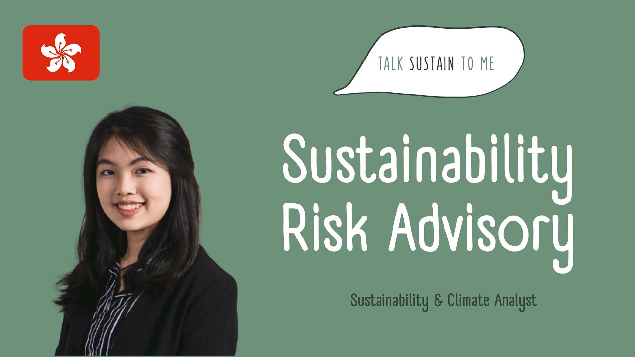 Big Four Sustainability Risk Advisory | Sustainability Career Series