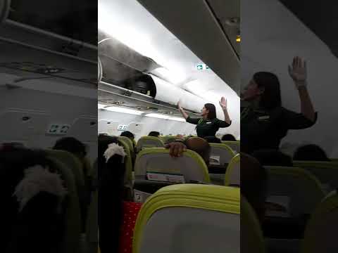 #salamair #shorts #shortsvideo #srivalli #pushpa #travel #airhostess #ytshorts