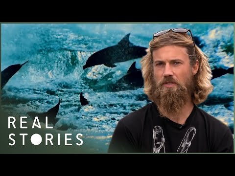 Surfer Against The World: Fighting for the Dolphins (Sealife Documentary) | Real Stories