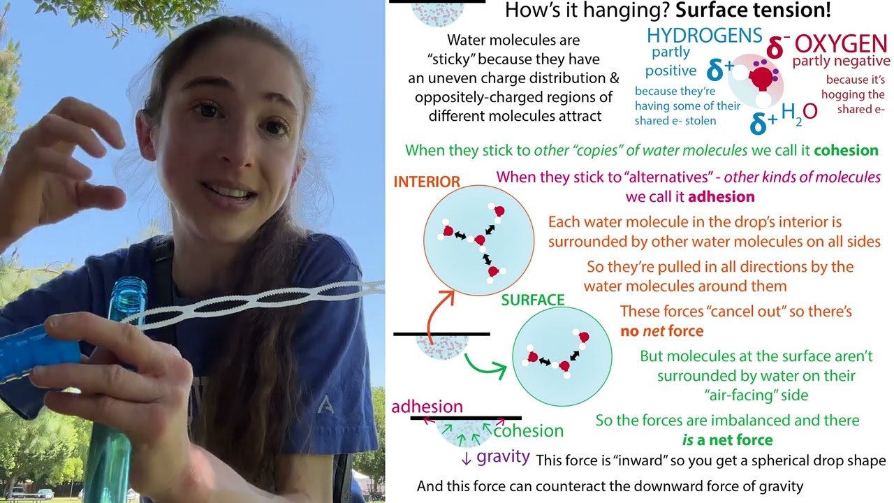 The basic science behind bubbles