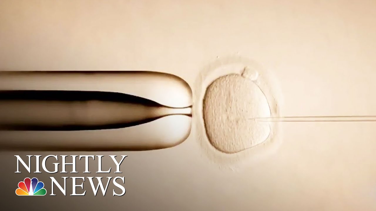 Human Embryos ‘Edited’ In U.S. For First Time | NBC Nightly News