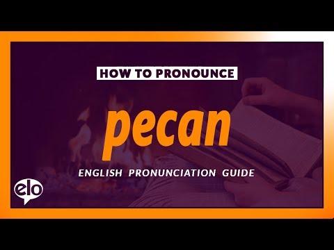 How To Pronounce Pecan | Definition and Pronunciation (Human Voice)