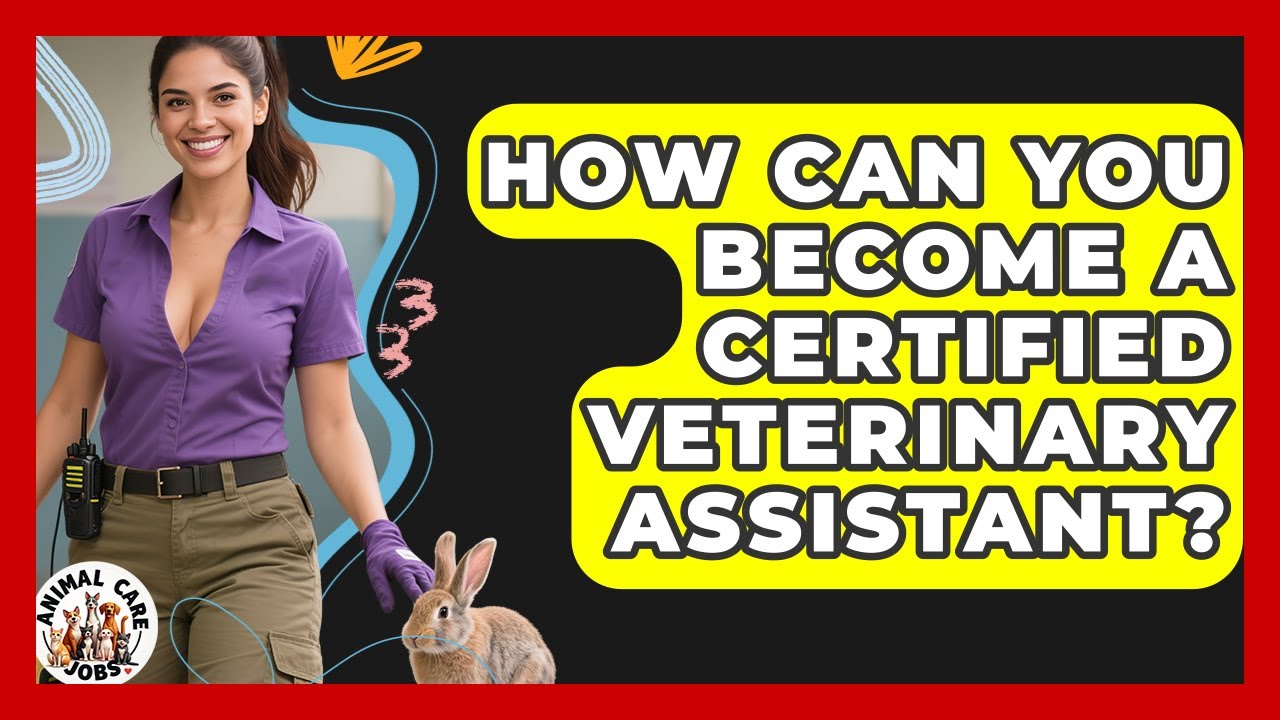 How Can You Become a Certified Veterinary Assistant? | Animal Care Jobs
