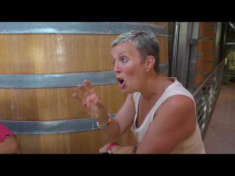 Castello Banfi Winery Tour and Tasting