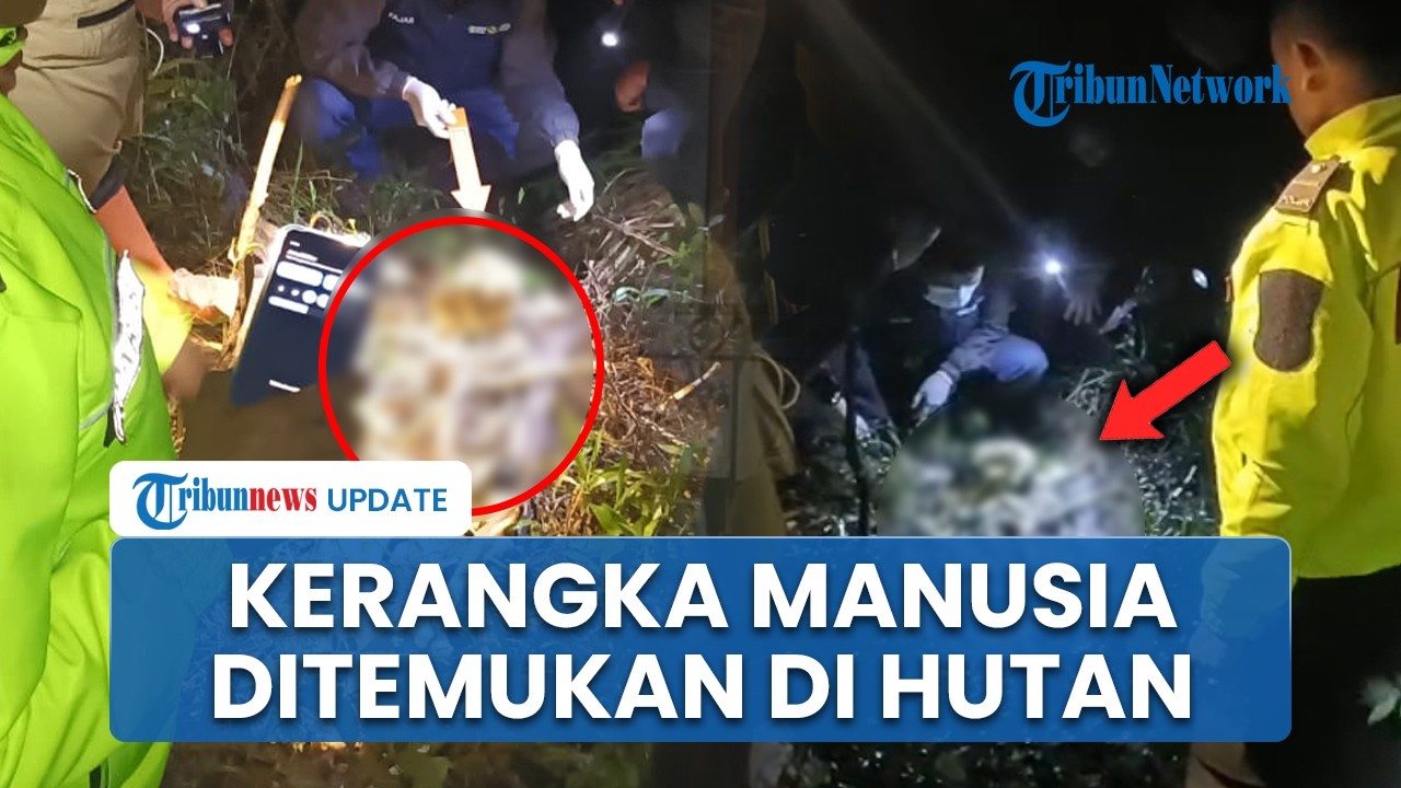 Geger! Warga Garut Temukan Kerangka Manusia di Hutan Banjarwangi saat ...