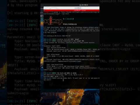 Database Breached: The Power of SQL Injection