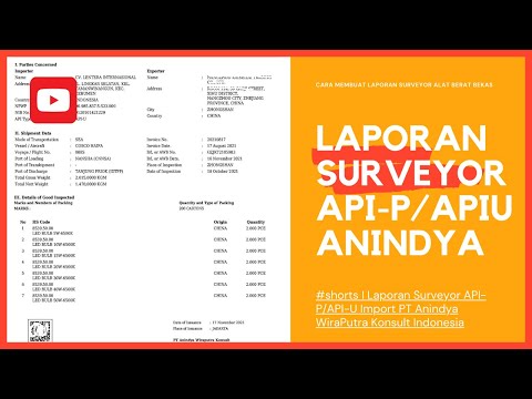 #shorts I Laporan Surveyor API-P/API-U Import PT Anindya WiraPutra Konsult