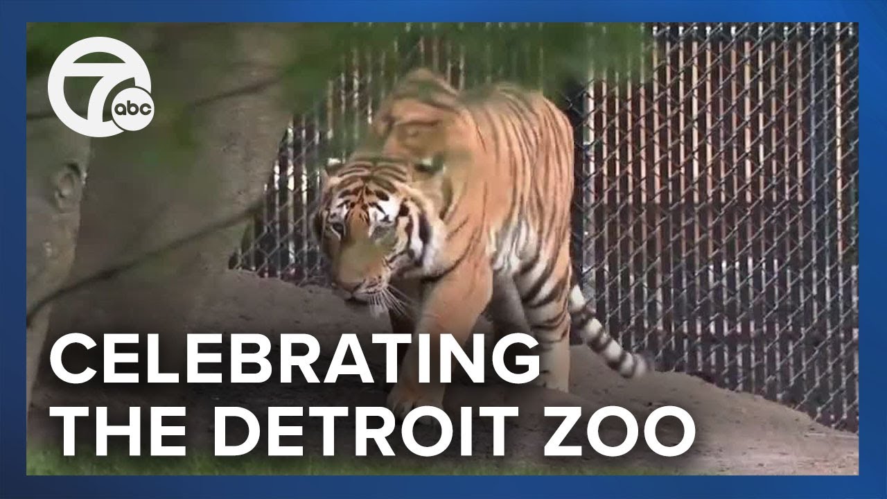 Detroit Zoo celebrating 95th anniversary with special events, discounts & more