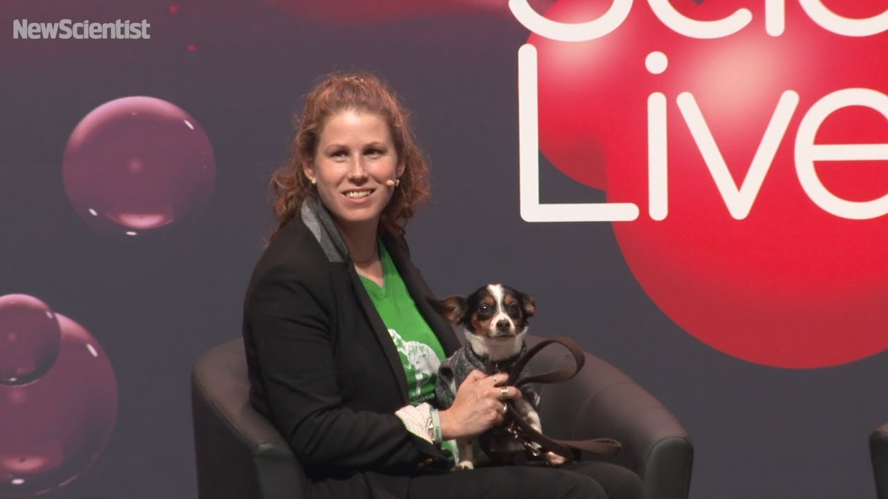 Caroline Criado Perez: Inside the data gender gap