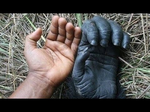 The Nature of Reality