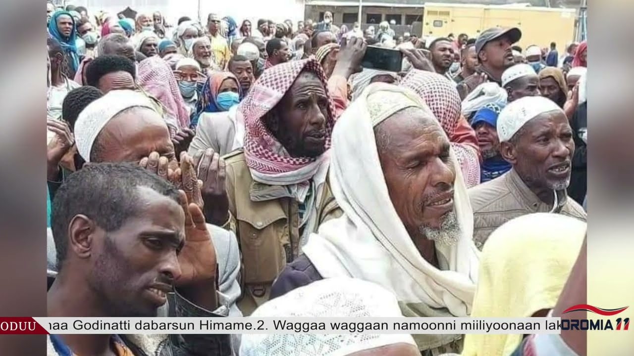 OROMIA11: ODUU-7-8-2022