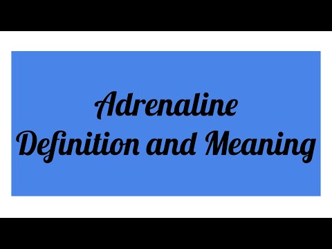 Adrenaline Definition and Meaning/in English and Hindi