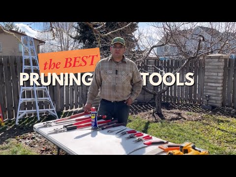 Best Pruning Shears, Tools for Pruning Fruit Trees, Favorite Garden Tools