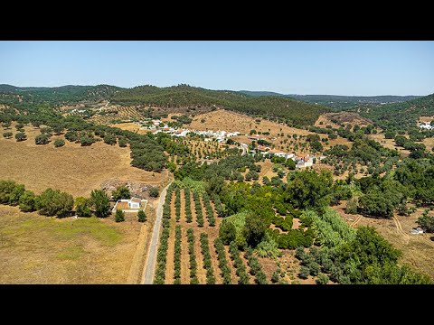 quinta com moradias, laranjal e olival - São Brissos