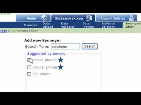 Concept based SiteSearch: Synonyms