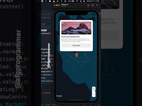 Flutter Google Map Example - Day 41 #shorts