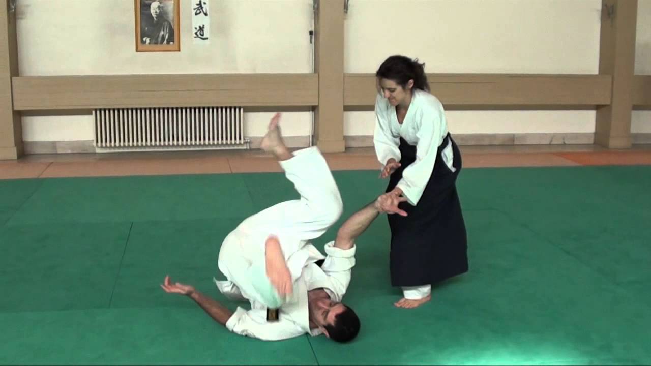 TECHNIQUES DIVERSES – AIKI VU DAO